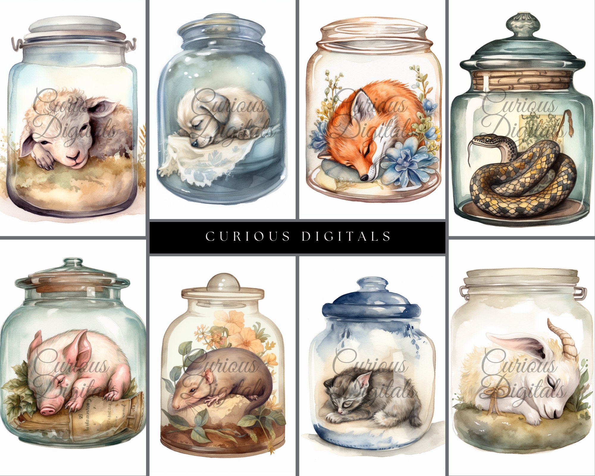 Animal Specimen Jars Oddities Watercolor Style Clip Art Digital Art ...