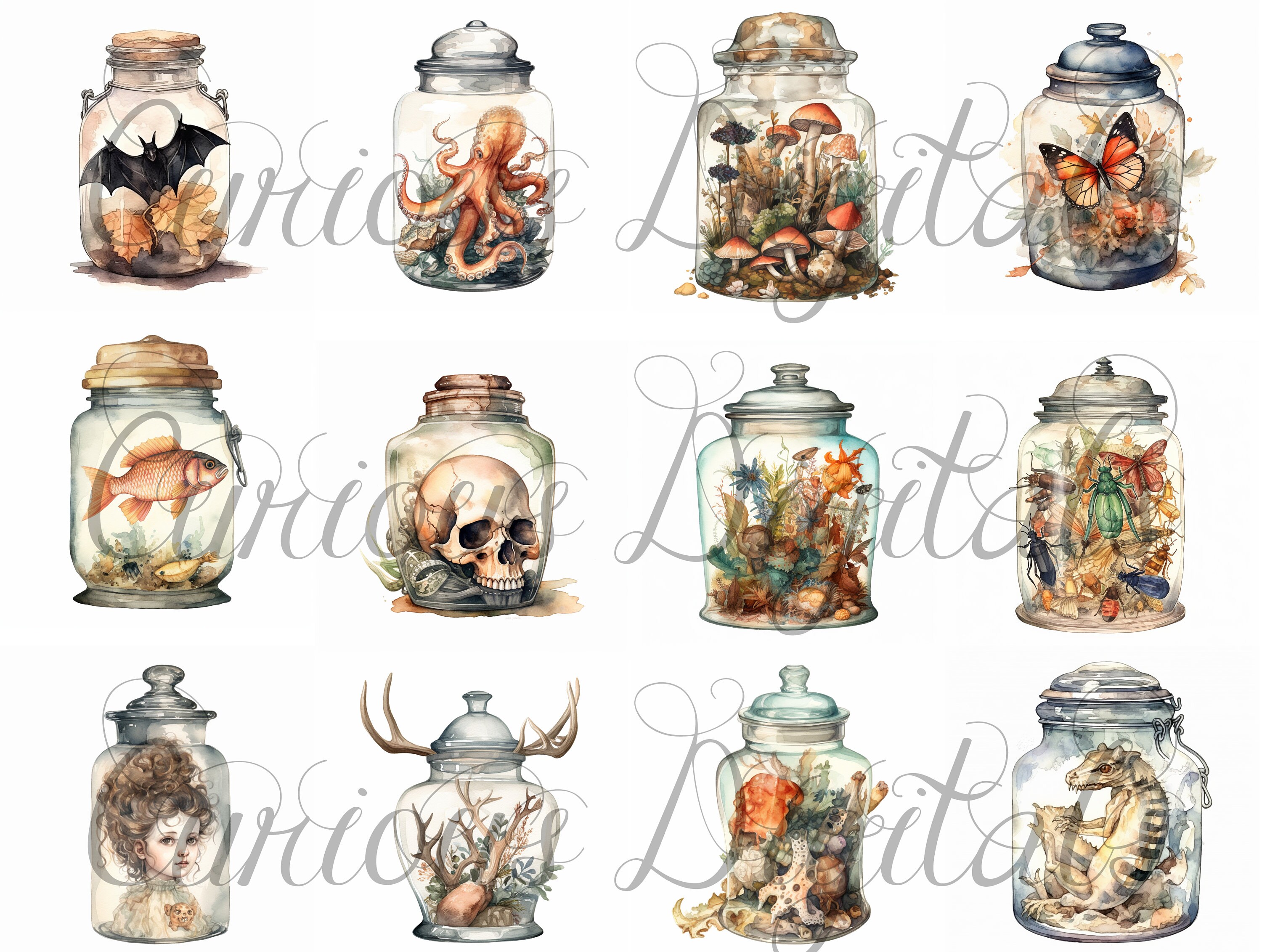 Specimen Jars Gothic Oddities Natural History Specimen Victorian ...