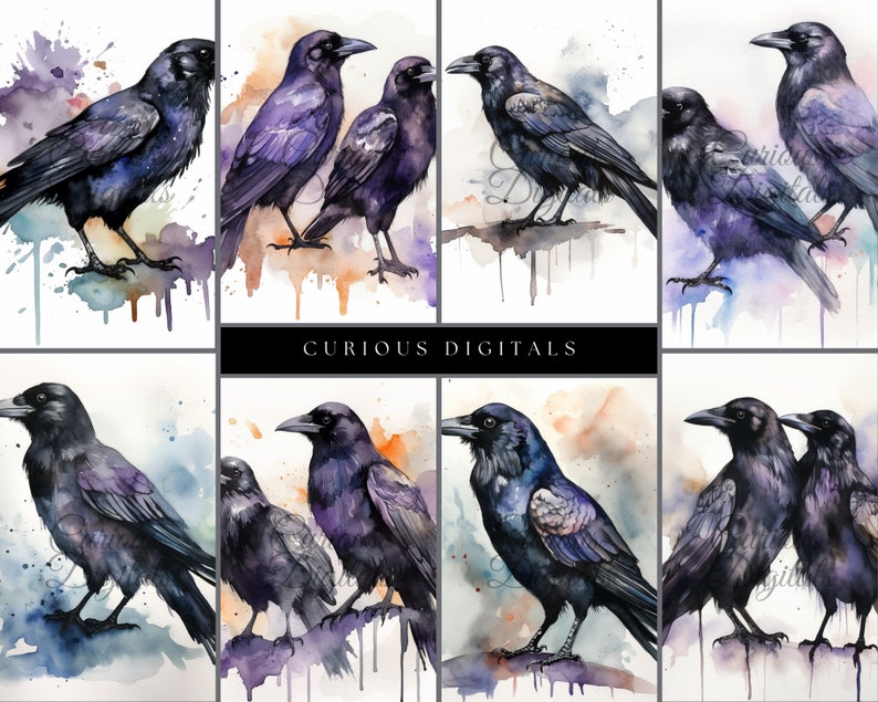 Ravens - Watercolor Style - Clip Art - Digital Art Download - Stock ...