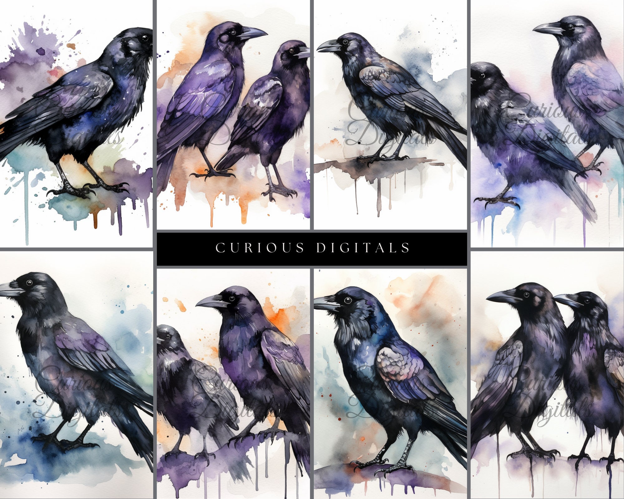 Ravens Watercolor Style Clip Art Digital Art Download Stock Photo PNG ...