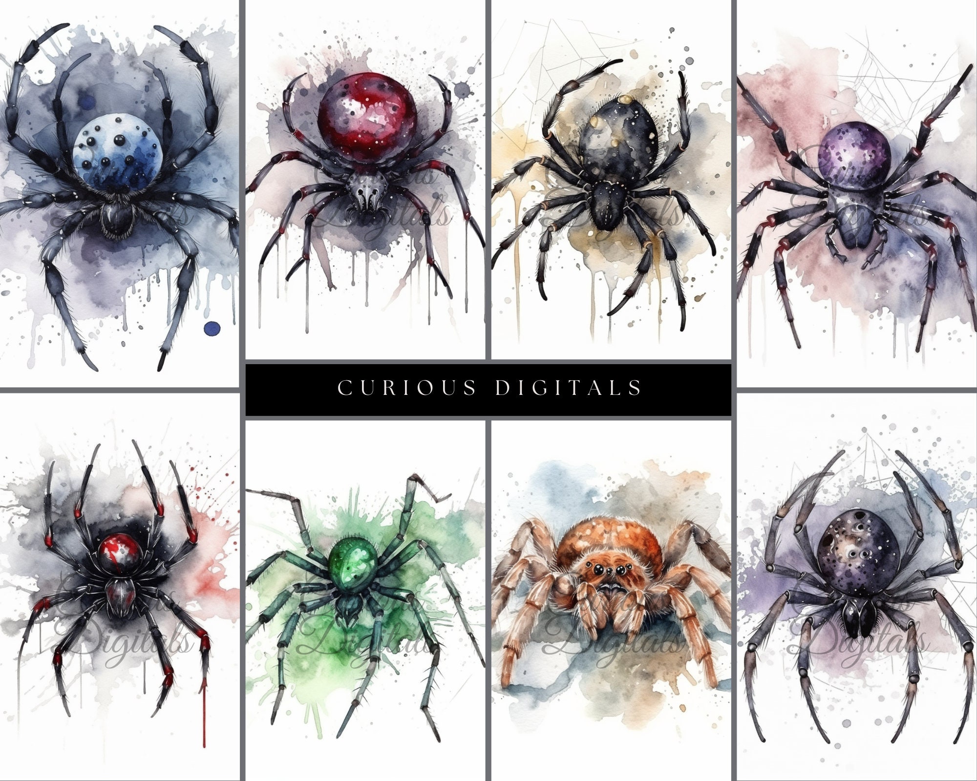 Watercolor Spiders - Gothic - Creepy - Halloween - Clip Art - Digital ...