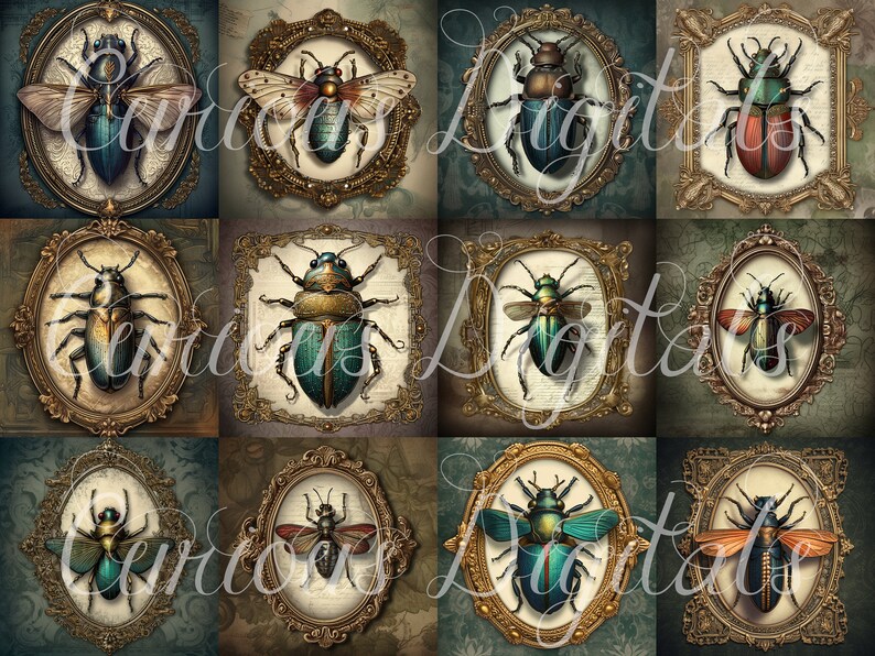 Victorian Entomological Beetle Art - Oddities - Realism - Clip Art ...