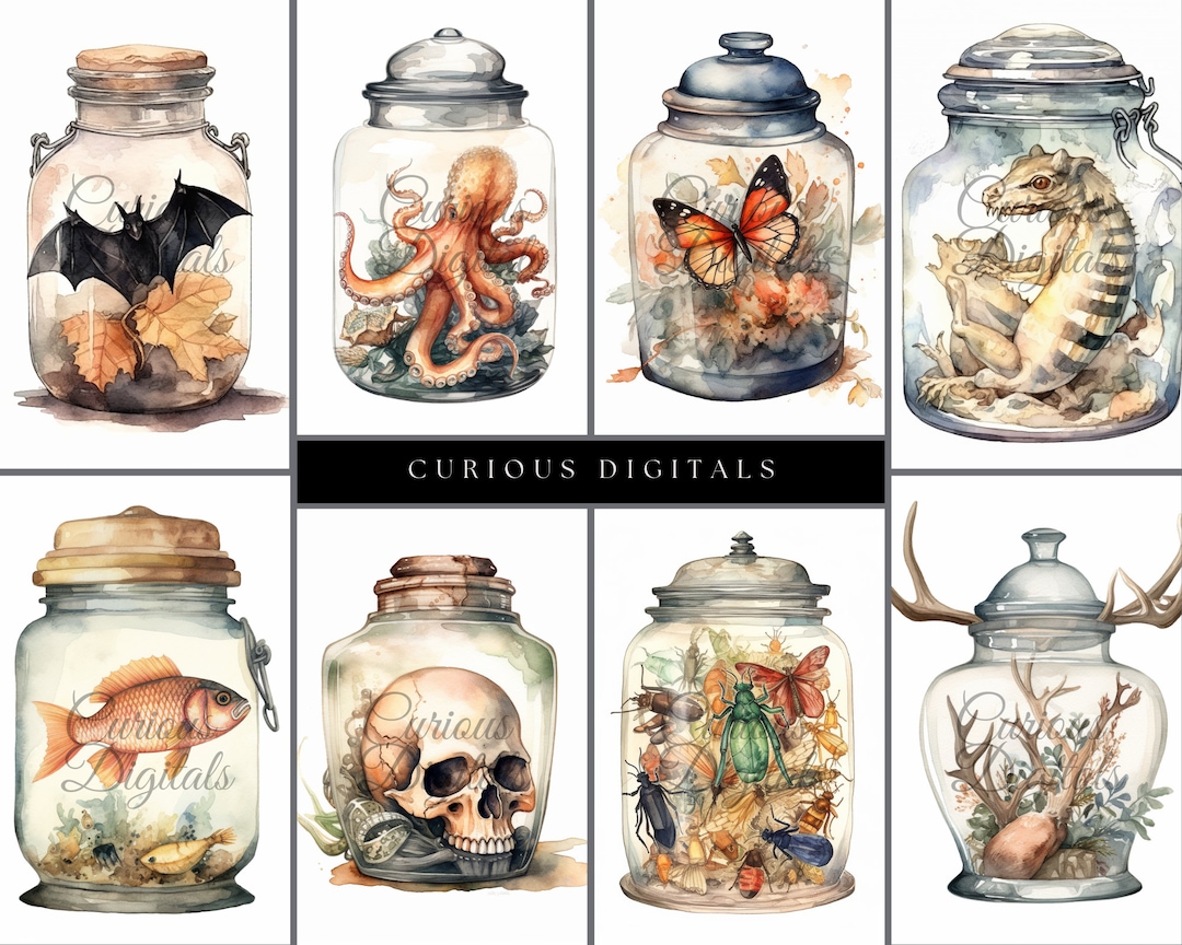 Specimen Jars Gothic Oddities Natural History Specimen Victorian ...