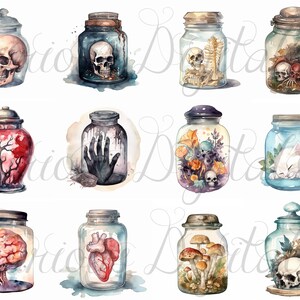 Specimen Jars - Gothic - Oddities - Watercolor Style - Clip Art ...