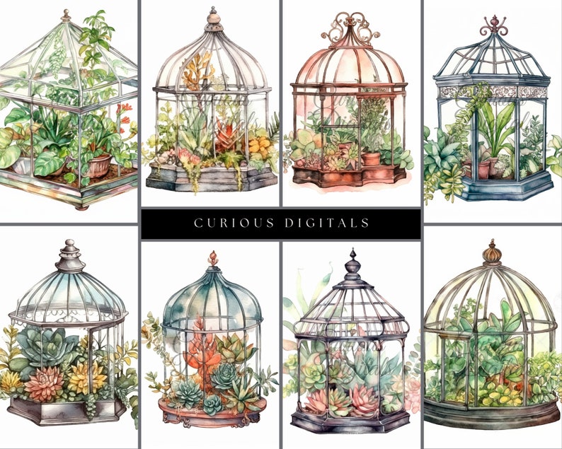 Victorian Plant Terrariums Watercolor Style Clip Art - Etsy