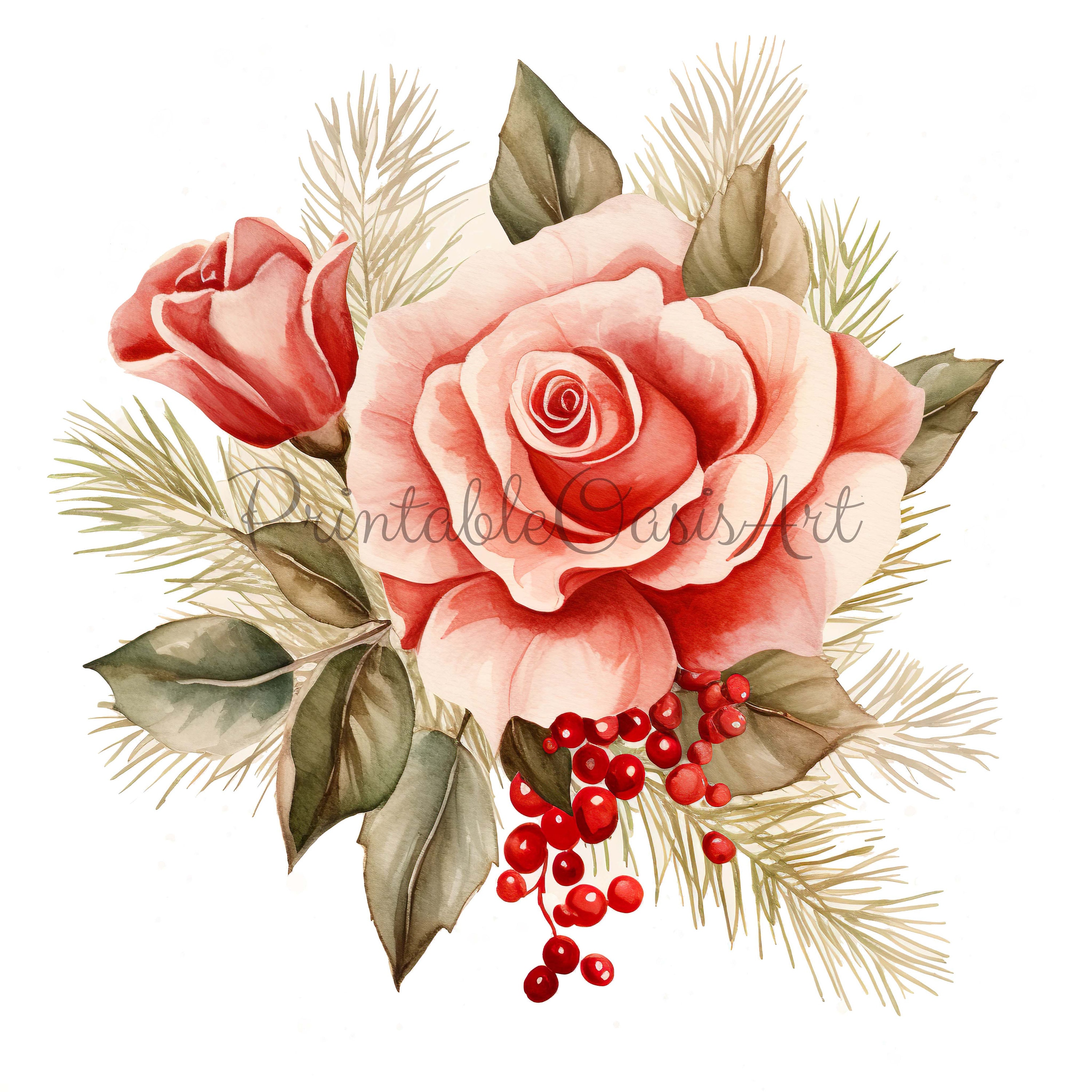 Rose Christmas Clipart 8 High-quality Jpgs Digital Download - Etsy