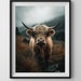 Highland Cow, Digital Art, Wall Art, Digital Download, Download ...