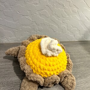 Pie Turtle Amigurumi - Etsy