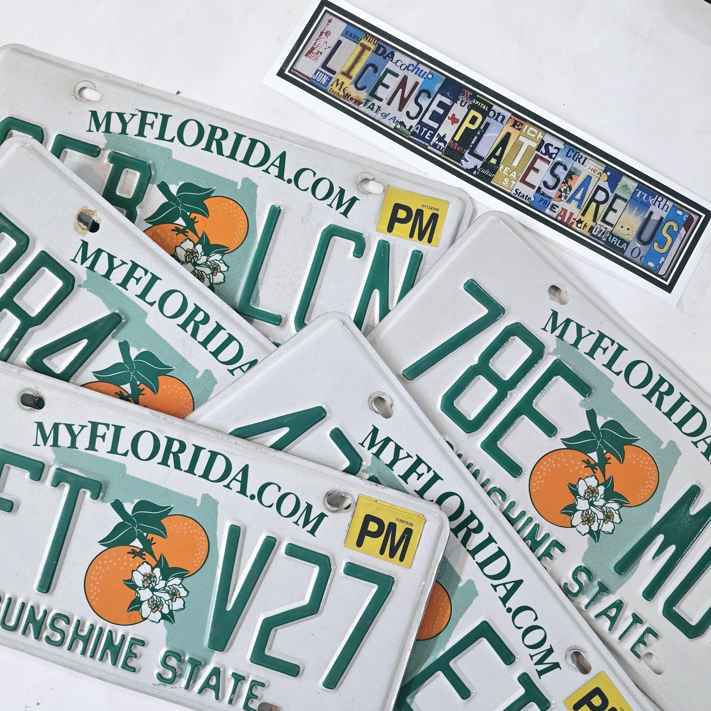 FLORIDA PERMANENT License Plate - Free Shipping in USA - 1 W/ Random ...