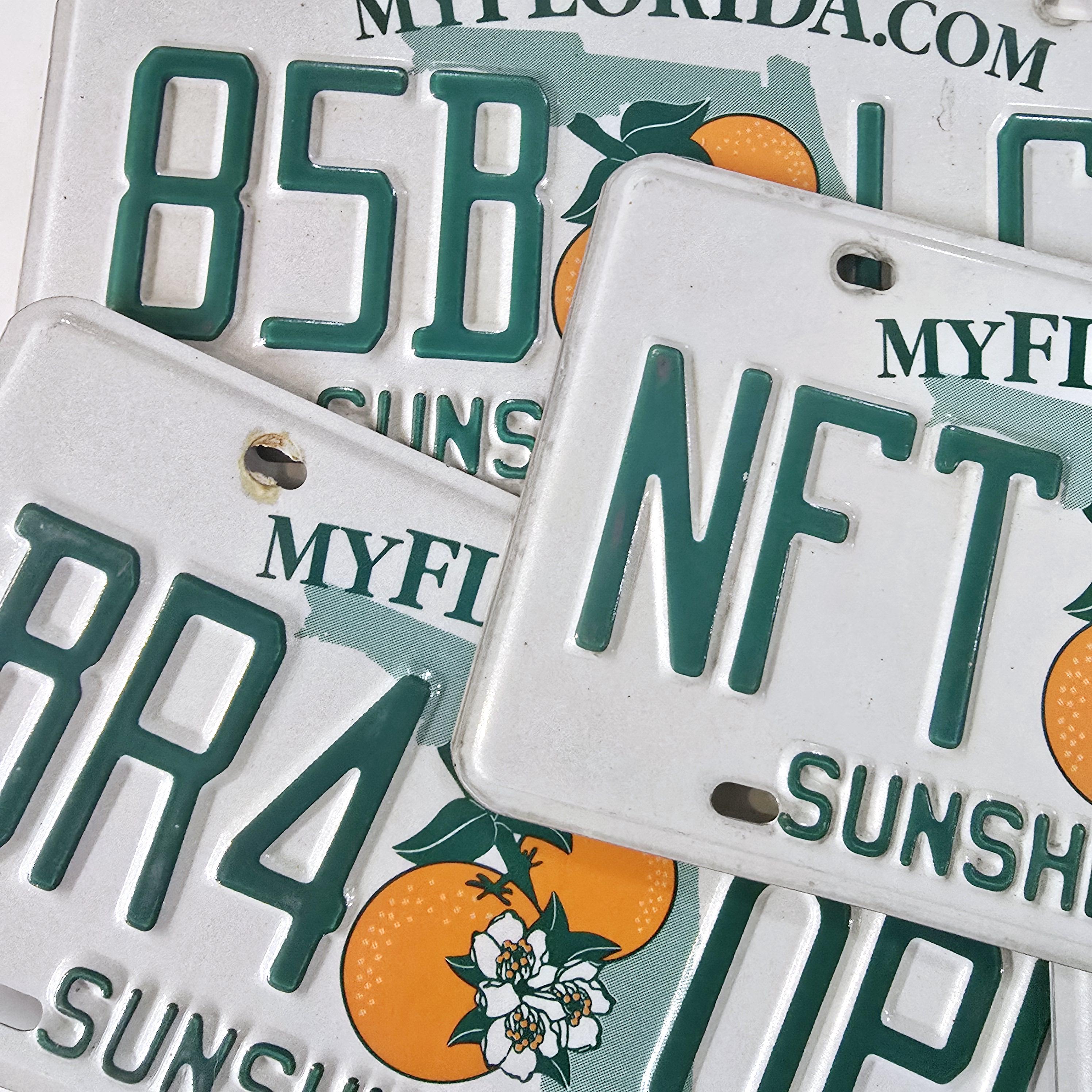 FLORIDA PERMANENT License Plate - Free Shipping in USA - 1 W/ Random ...