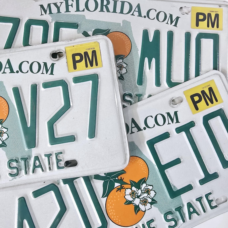 FLORIDA PERMANENT License Plate - Free Shipping in USA - 1 W/ Random ...