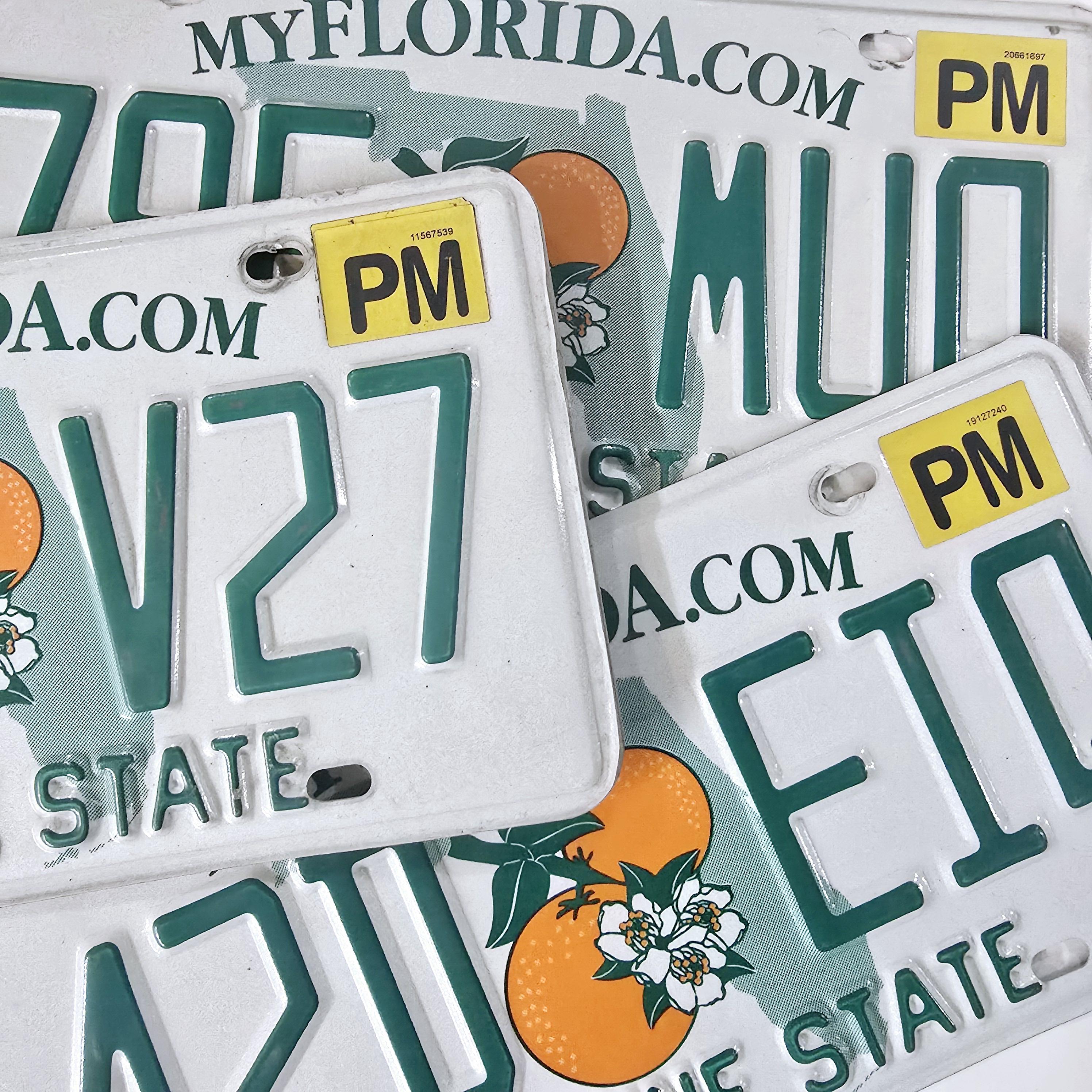 FLORIDA PERMANENT License Plate - Free Shipping in USA - 1 W/ Random ...