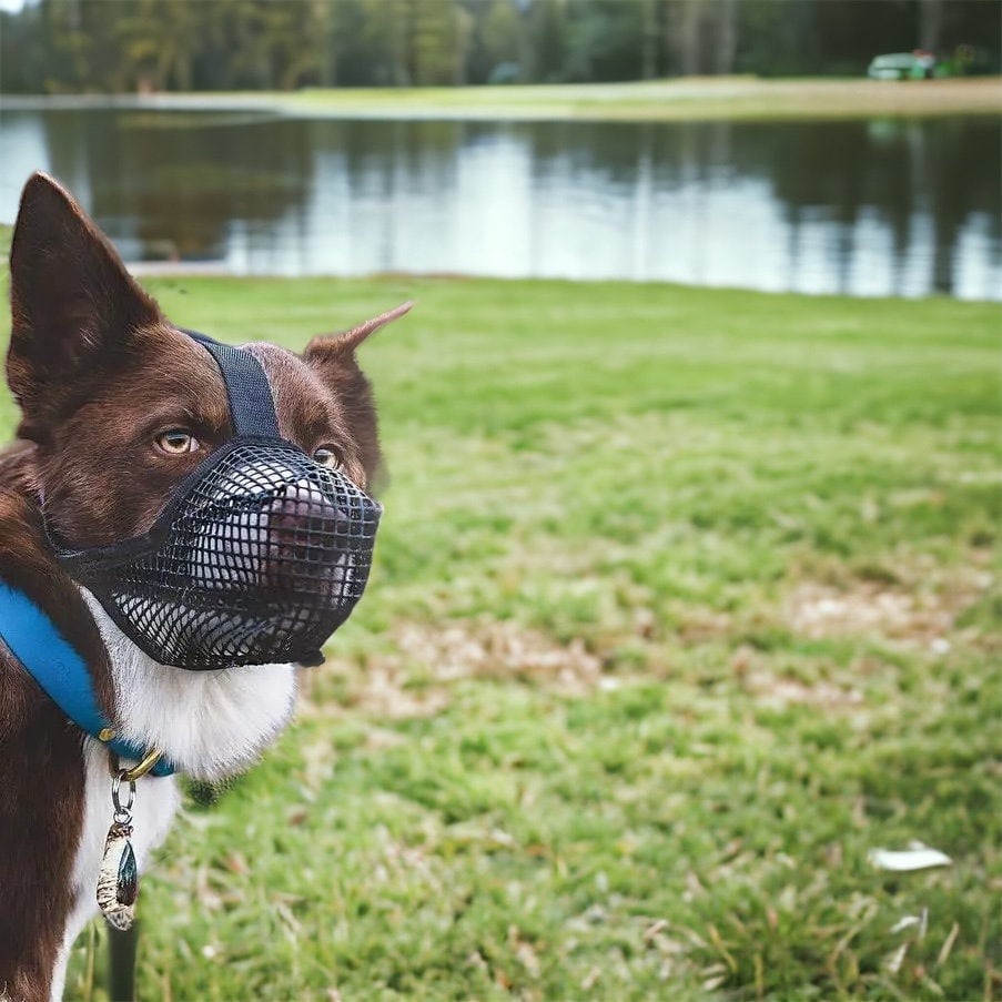 Muzzles for Dog Adjustable, Muzzle Mask for Dogs, Dogs Long Mouth, Anti ...