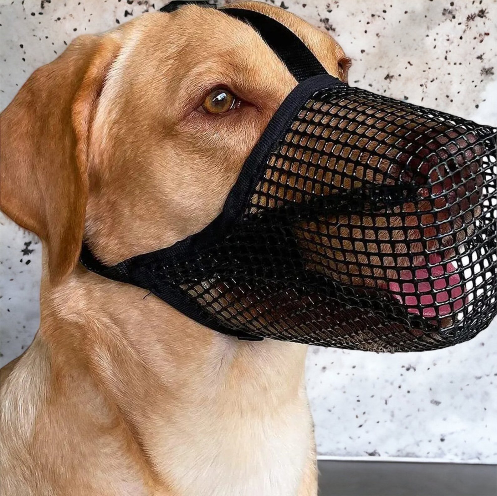 Muzzles for Dog Adjustable, Muzzle Mask for Dogs, Dogs Long Mouth, Anti ...