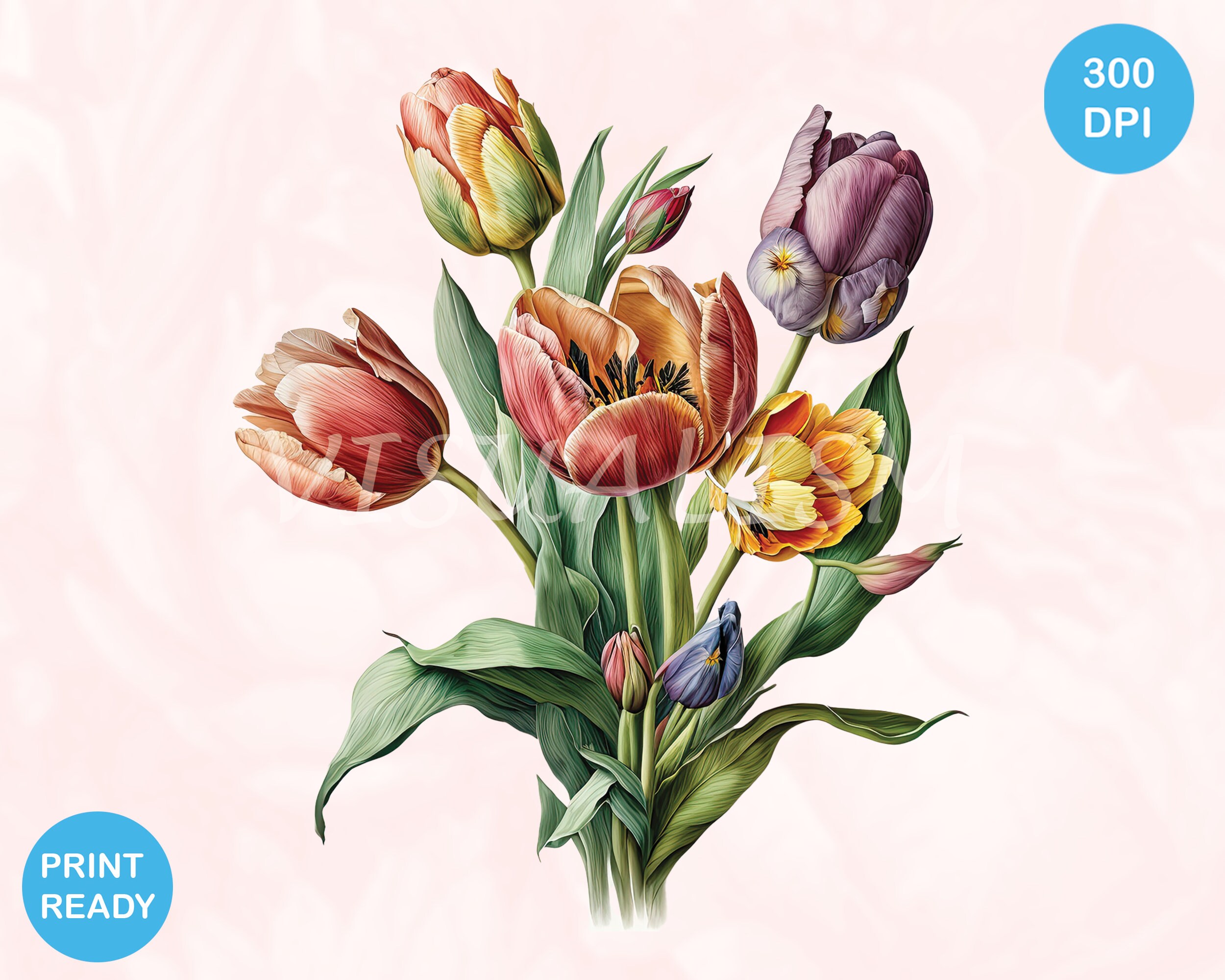 20 TULIP FLORAL CLIPART, Digital Downloads, Tulip Vase Clipart, Tulip ...