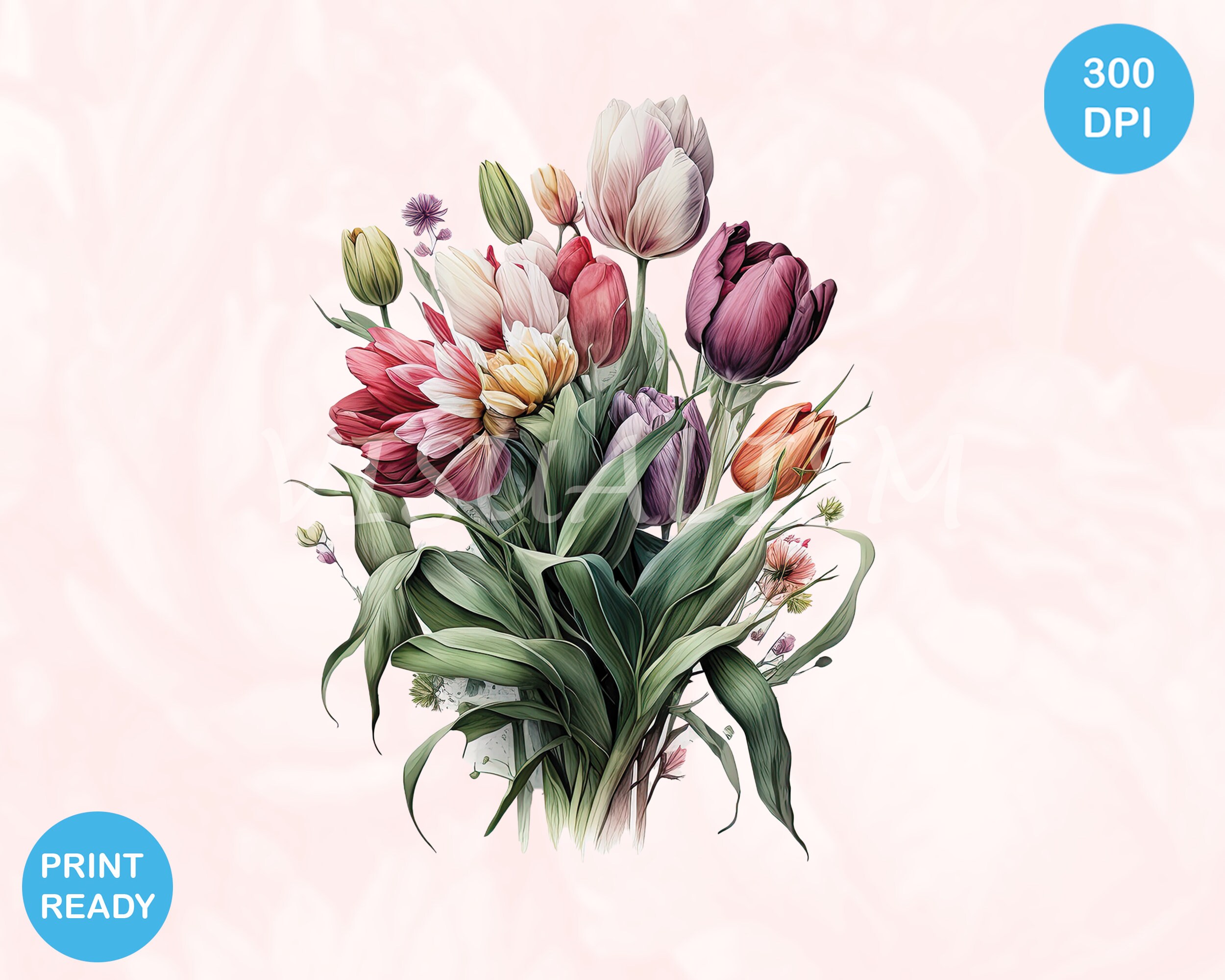20 TULIP FLORAL CLIPART, Digital Downloads, Tulip Vase Clipart, Tulip ...