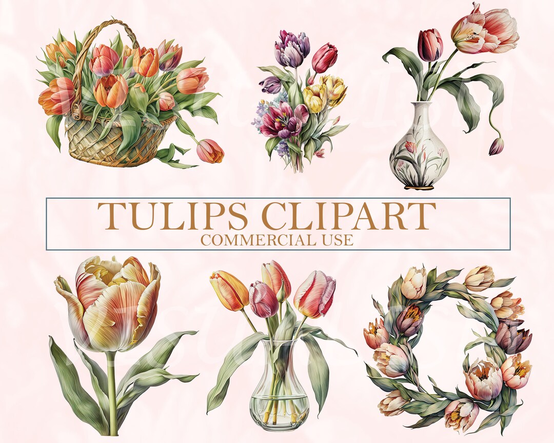 20 TULIP FLORAL CLIPART, Digital Downloads, Tulip Vase Clipart, Tulip ...