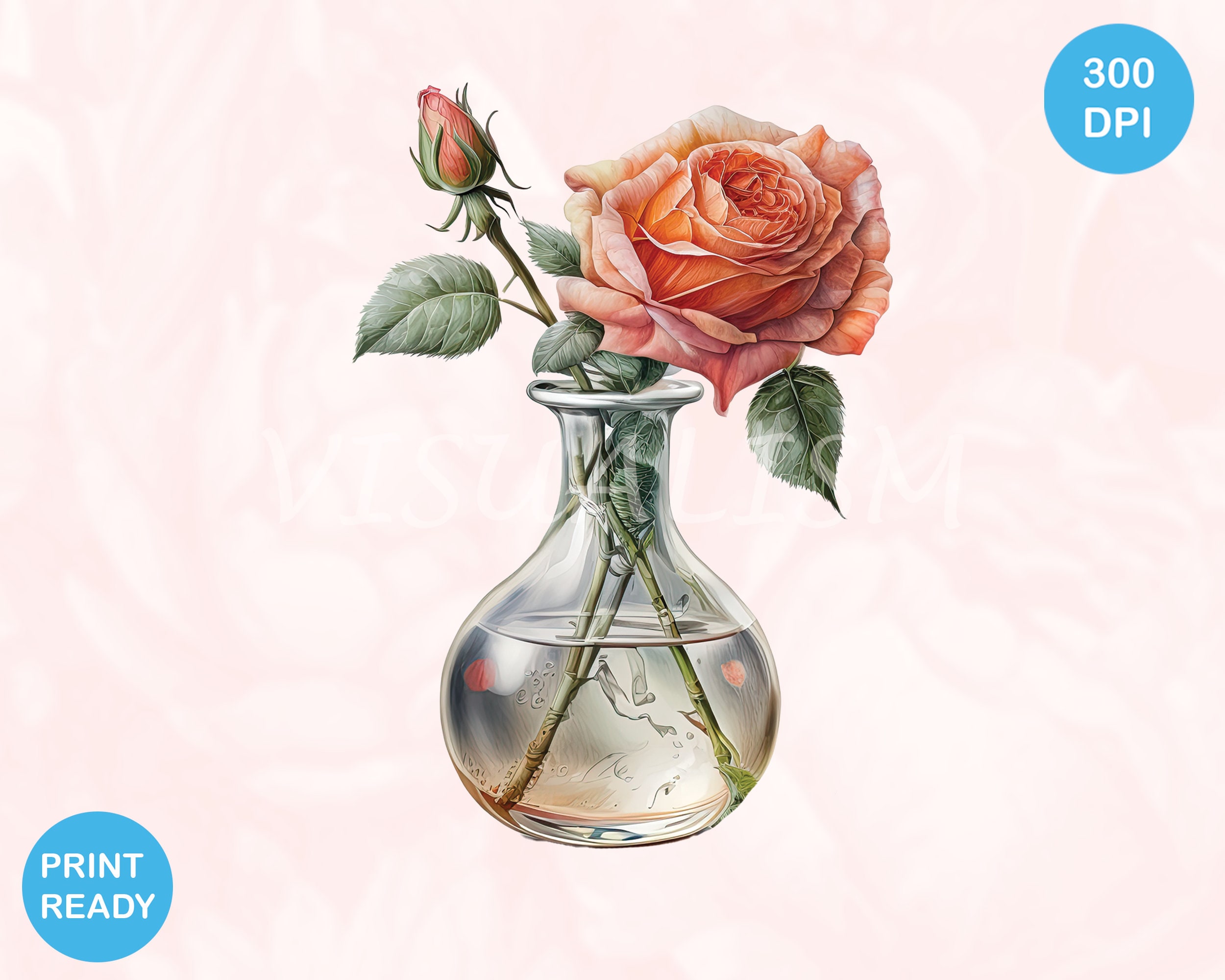 20 ROSE FLORAL CLIPART Digital Downloads Rose Vase Clipart - Etsy