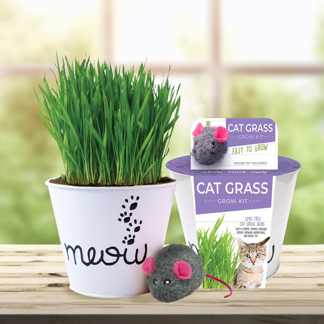 Cat Grass Growing Kit – Organic Seeds, Meow Planter & Mouse Toy - Etsy