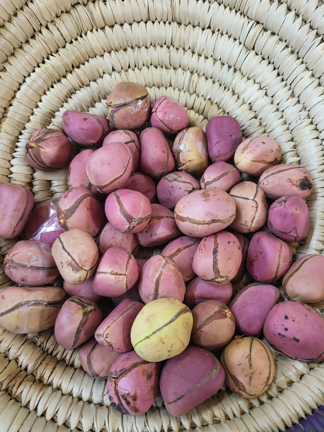 COLA NUT, Obi Abata. - Etsy