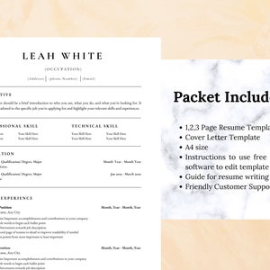 ATS Compatible Friendly Resume for Professionals, Easy to Edit on Canva ...