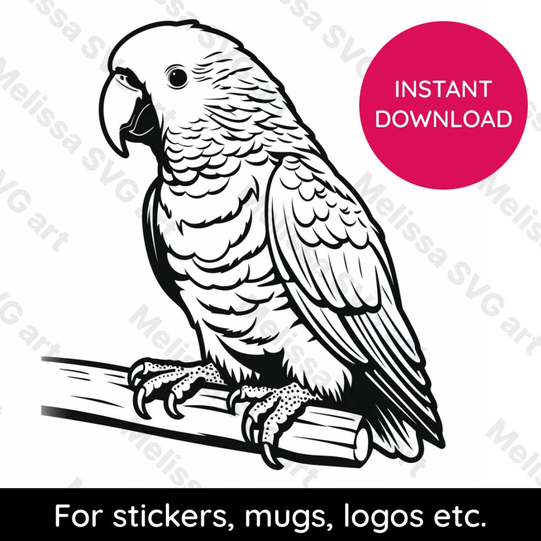 Quaker Parrot SVG Animal Lover Svg Pet Silhouette Print Cricut & Laser ...