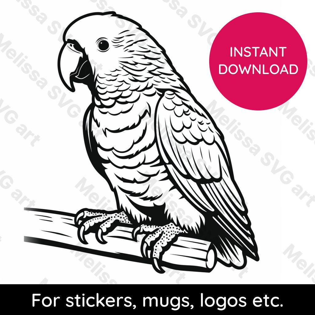 Quaker Parrot SVG Animal Lover Svg Pet Silhouette Print Cricut & Laser ...