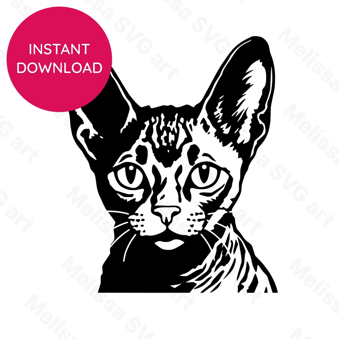 Devon Rex SVG Cat Portrait Cat Print Svg - Pet Silhouette Cricut ...