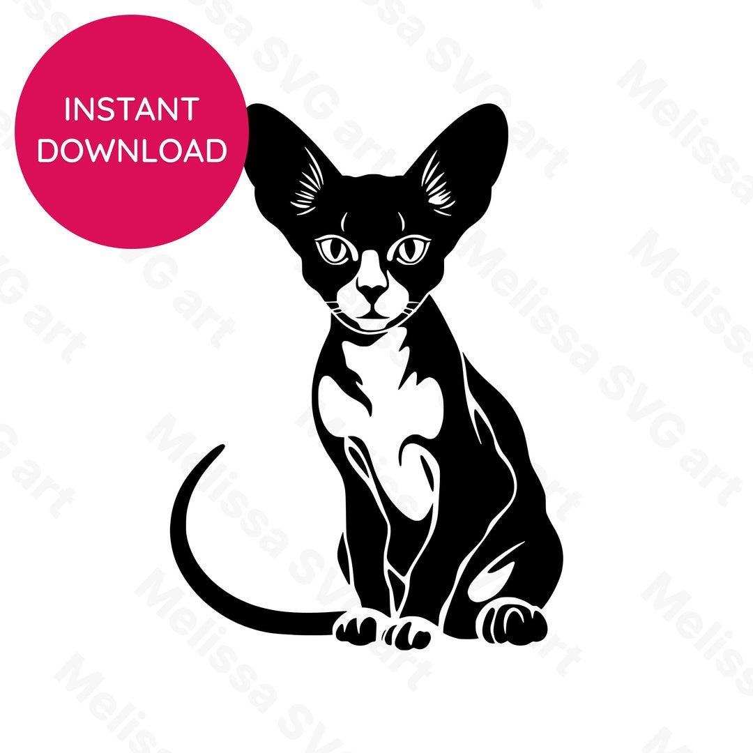 Cornish Rex SVG Cat Portrait Cat Print Svg - Pet Silhouette Cricut ...