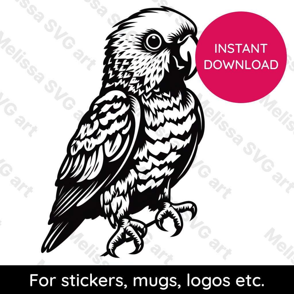 Conure SVG Animal Lover Svg Pet Silhouette Print Cricut & - Etsy Australia