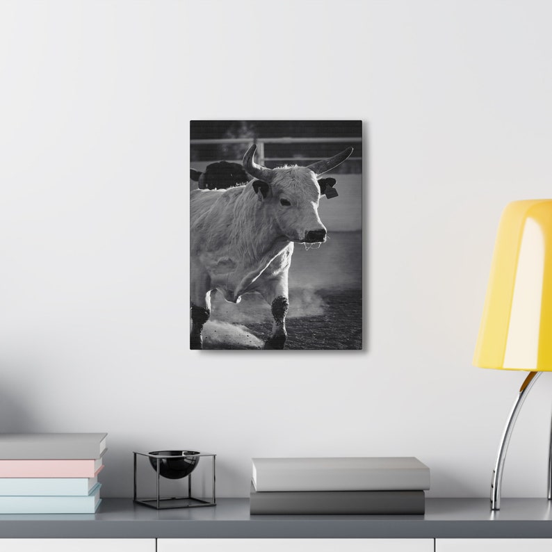 Black & White Western Bucking Bull Photograph ~ Digital Download - Etsy