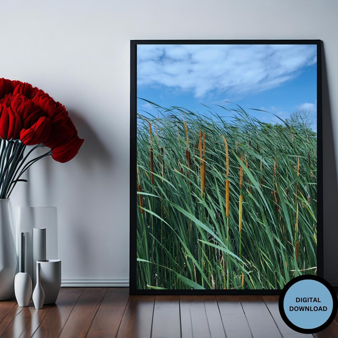 Cattail Plant Digital Download -outdoor Photo-outdoor Plant Printable ...