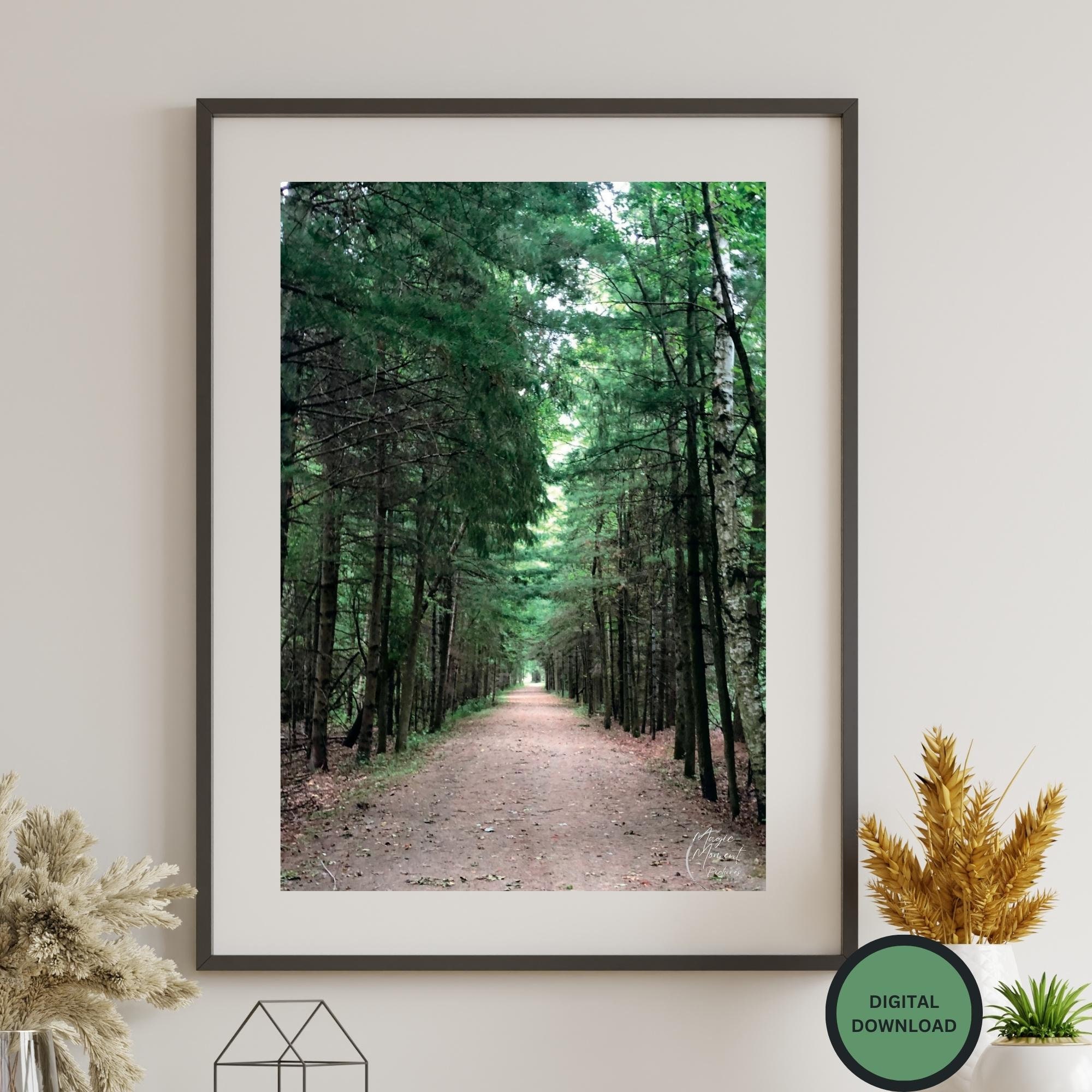 Tree Tunnel Photograph Instant Download - Road Less Traveled Wall Decor ...