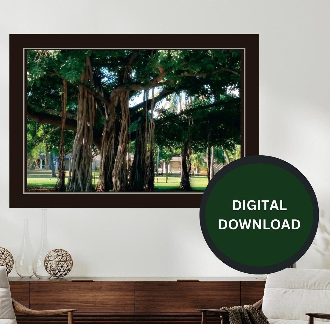 Hawaiian Banyan Tree Print – Tropical Landscape Photograph (digital ...