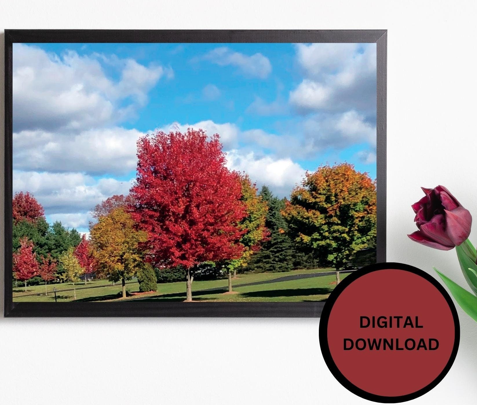 Tree Colors Printable Wall - Trees Instant Download - Fall Natures ...
