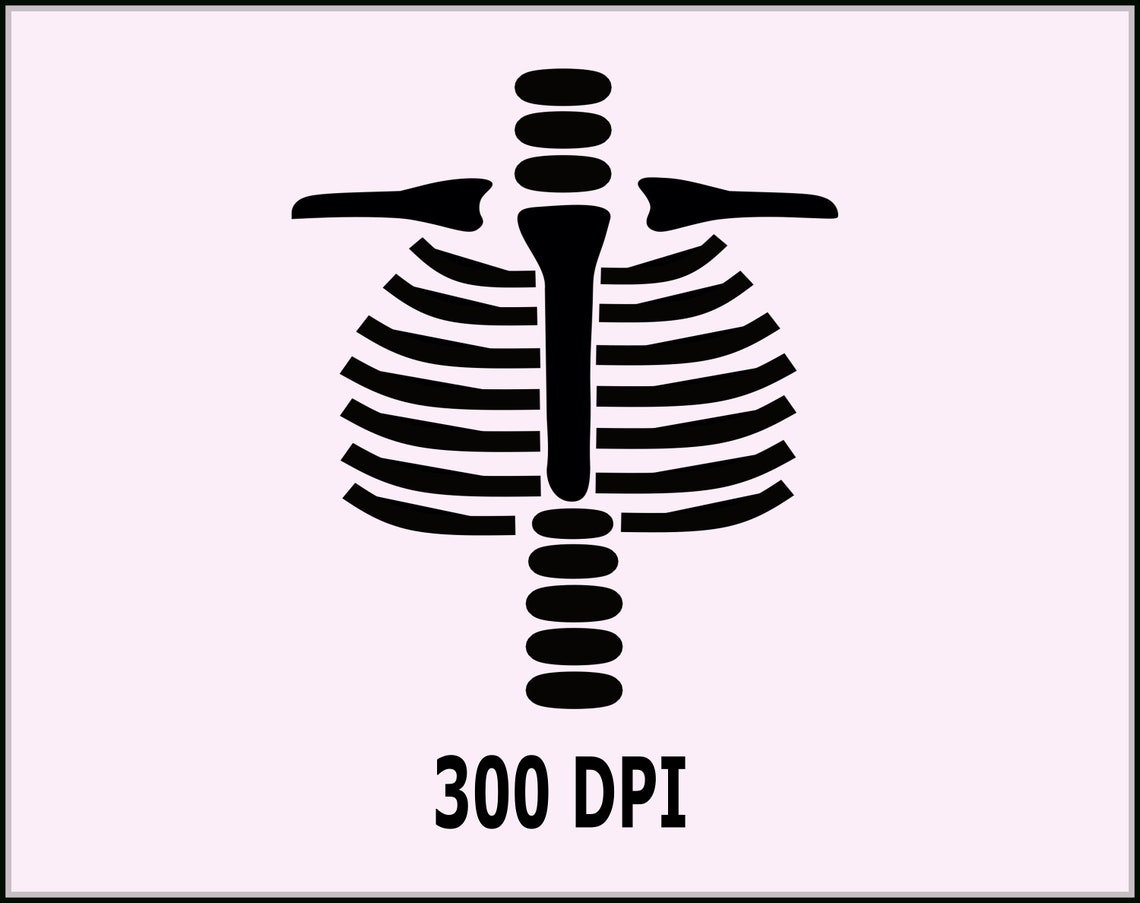 DIY Skeleton - Multiple SVG Files/bones Bundle. Create Your Very Own ...