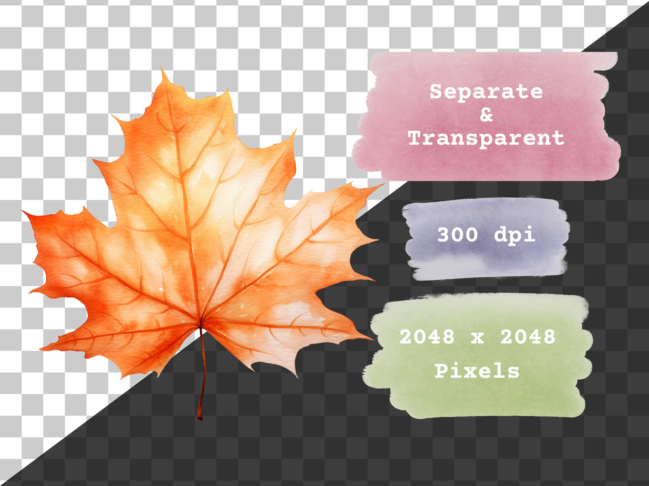 Watercolor Autumn Leaves Clipart Bundle PNG Format With Transparent ...