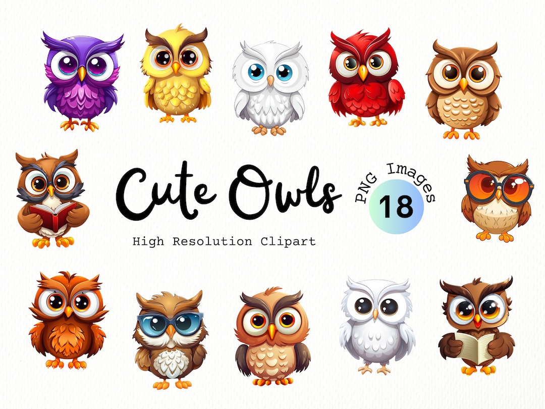Cute Owls Clipart Bundle Cartoon PNG Images for Digital Download ...