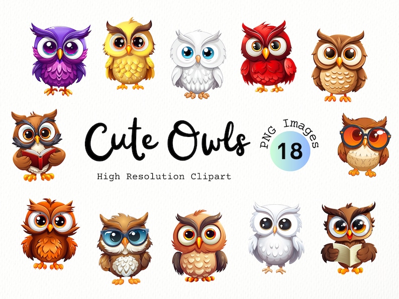 Cute Owls Clipart Bundle Cartoon PNG Images for Digital Download ...