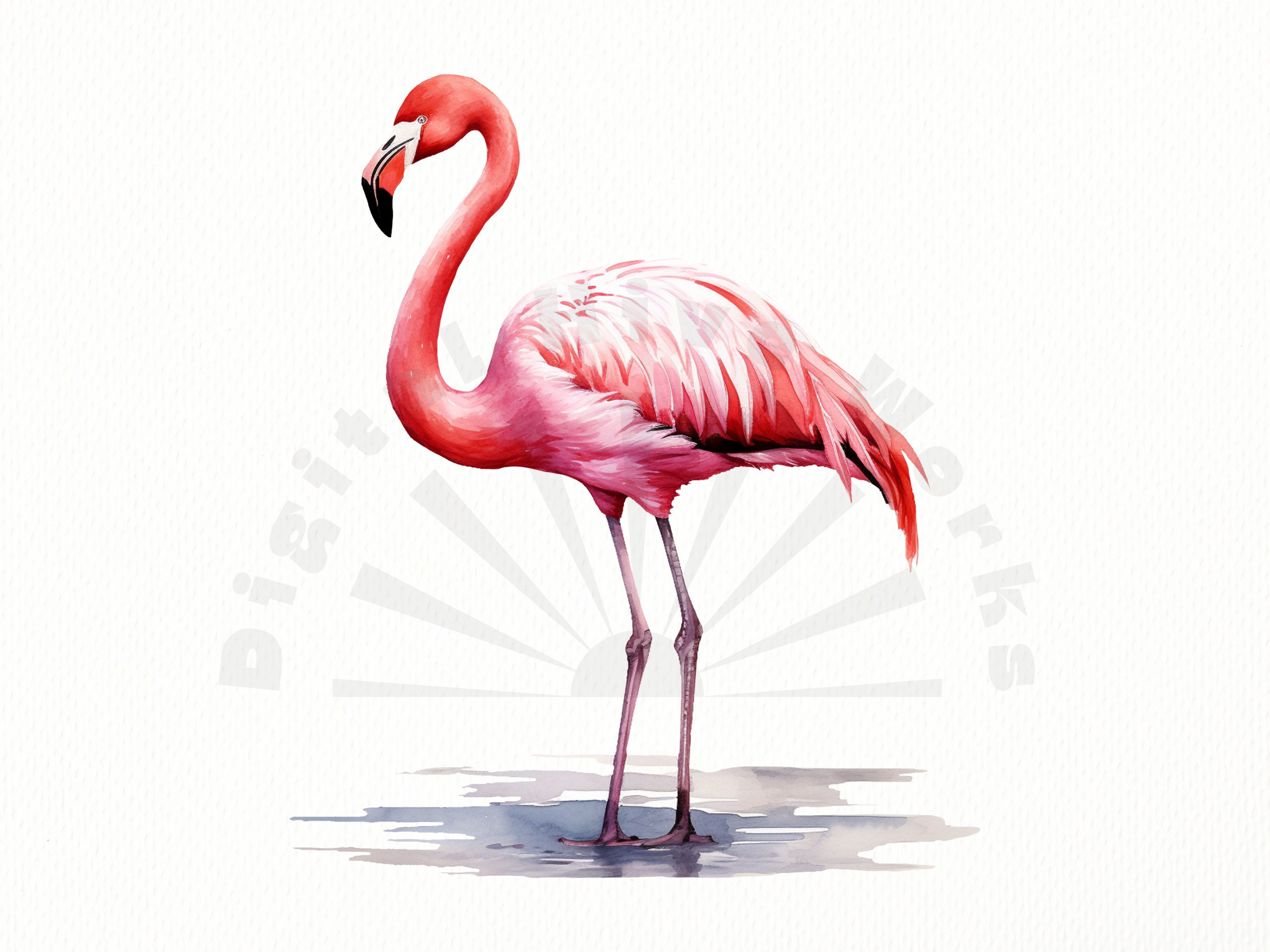 Watercolor Flamingos Clipart 12 PNG Images With Instant Download Pink ...