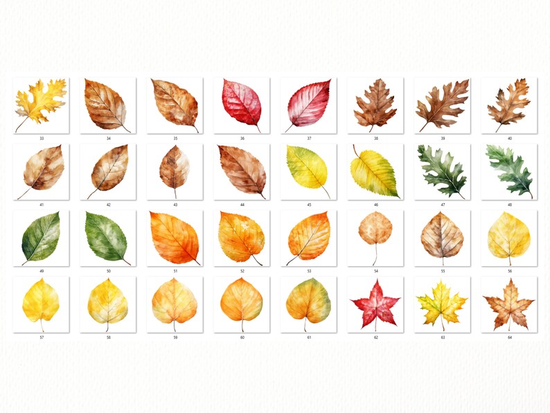 Watercolor Autumn Leaves Clipart Bundle PNG Format With Transparent ...