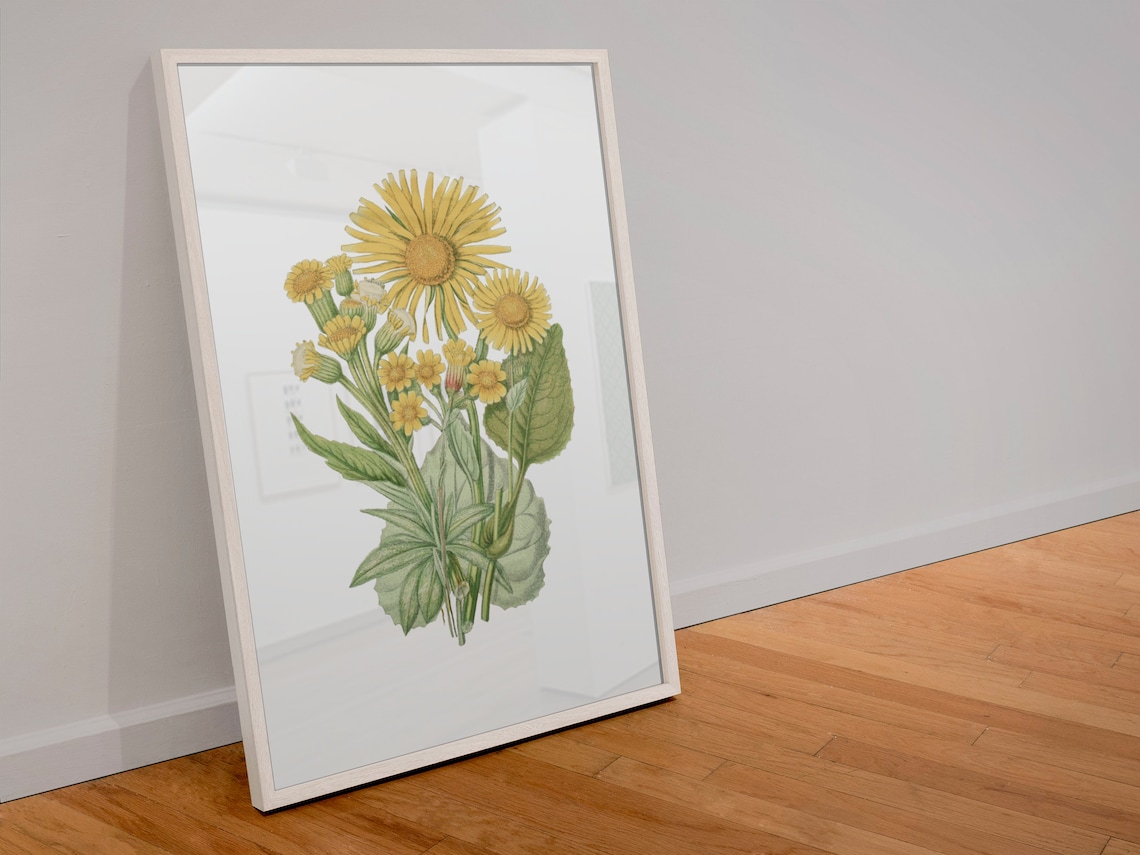 Vintage Yellow Flowers Botanical Illustration PNG Digital - Etsy