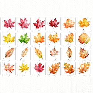 Watercolor Autumn Leaves Clipart Bundle - PNG Format With Transparent ...
