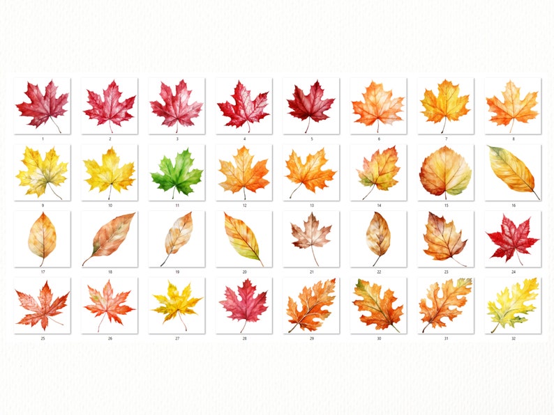 Watercolor Autumn Leaves Clipart Bundle PNG Format With Transparent ...