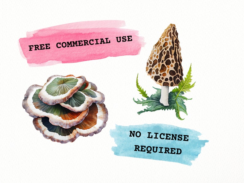 Watercolor Mushrooms Clipart Bundle - PNG Format With Transparent ...