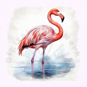 Watercolor Flamingos Clipart | 12 PNG Images With Instant Download ...