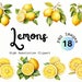 Lemons Clipart 18 PNG Watercolor Images With Instant Digital - Etsy