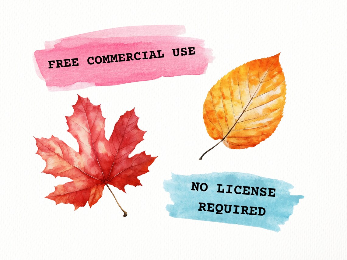 Watercolor Autumn Leaves Clipart Bundle PNG Format With Transparent ...