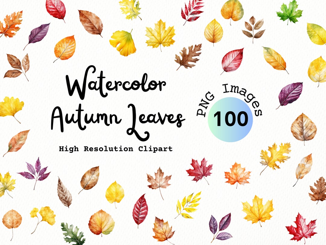 Watercolor Autumn Leaves Clipart Bundle - PNG Format With Transparent ...