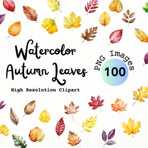 Watercolor Autumn Leaves Clipart Bundle - PNG Format With Transparent ...
